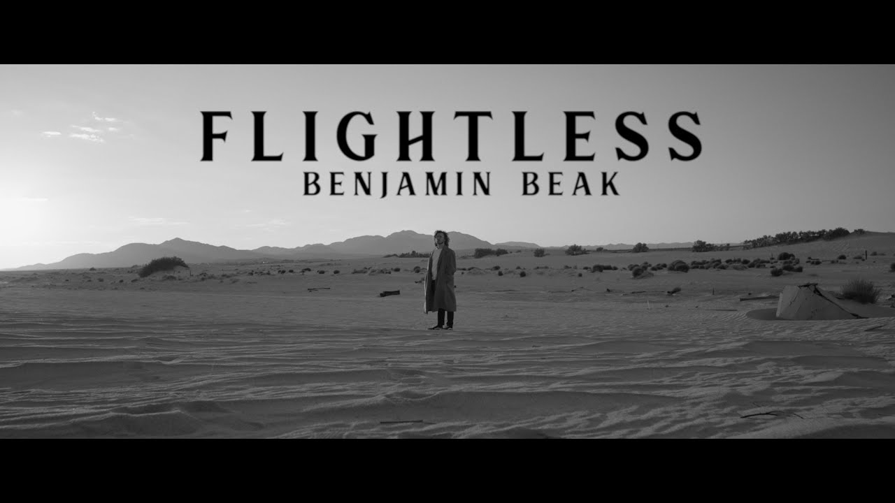 Benjamin Beak - Flightless (Official Music Video) - YouTube
