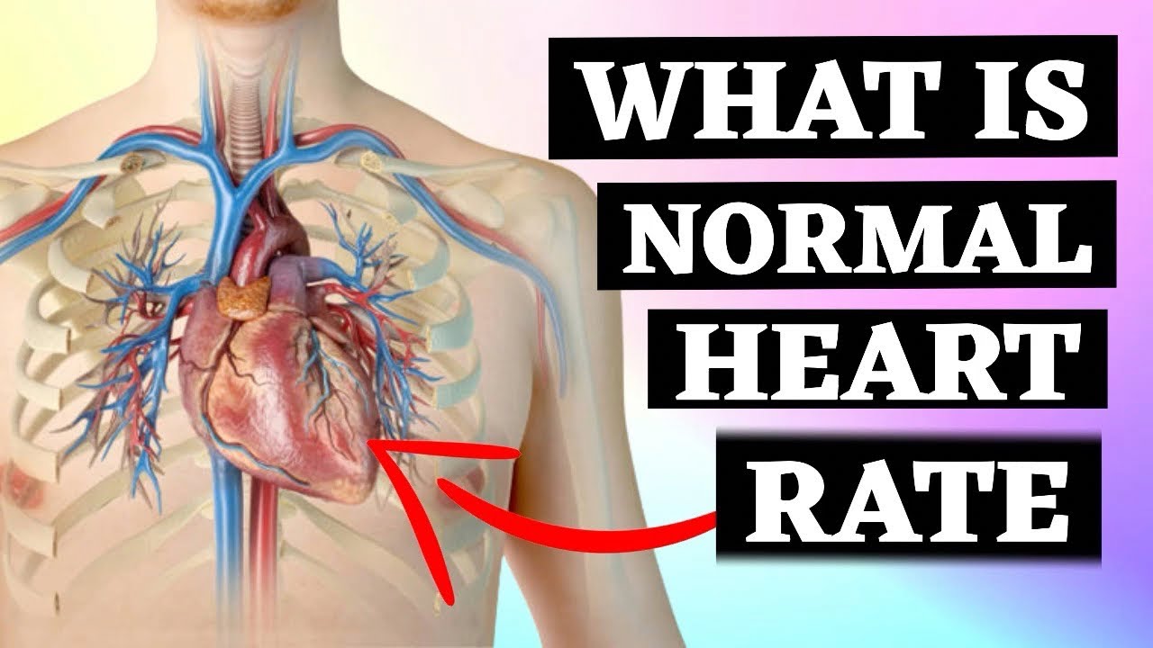 What is a normal heart rate?What is an unsafe heart rate? At what heart ...