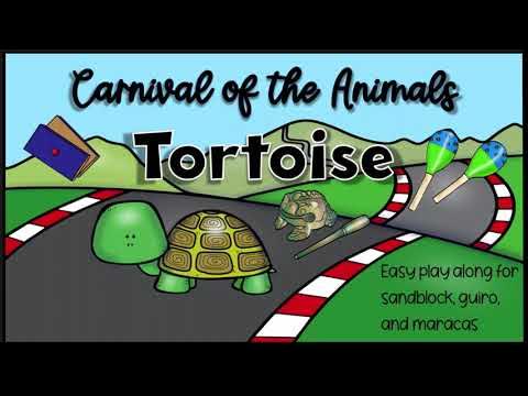Carnival of the Animals Tortoise Play Along | Easy Play Along Carnival of the Animals - YouTube