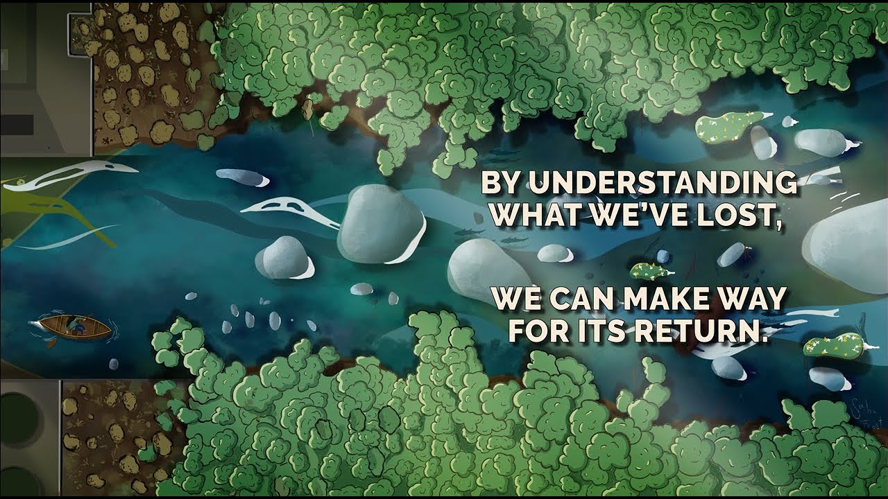 The Memory Loss That's Killing Our Planet | Shifting Baseline Syndrome Explained - YouTube