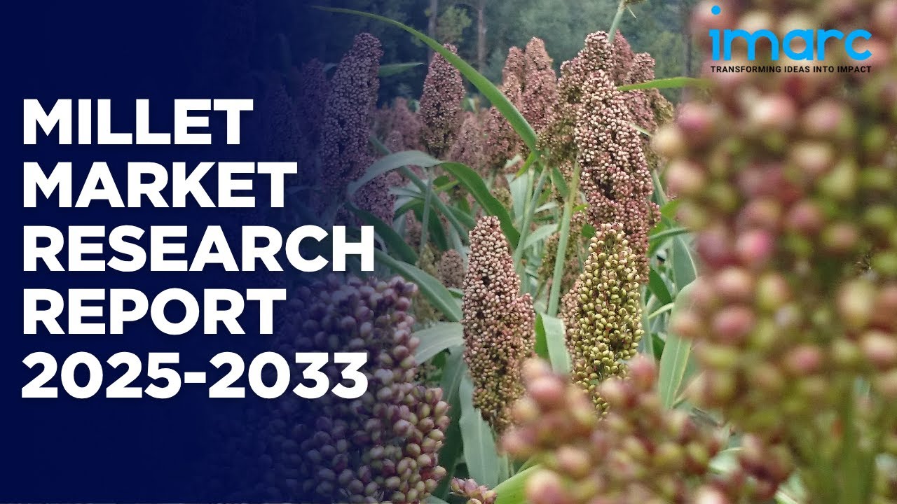 Millet Market Size, Growth, and Trends Forecast 2025-2033 - YouTube