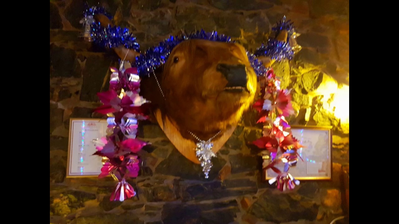 Ardlui Hotel, Loch Lomond & Drovers Inn Inverarnan Walk through. - YouTube