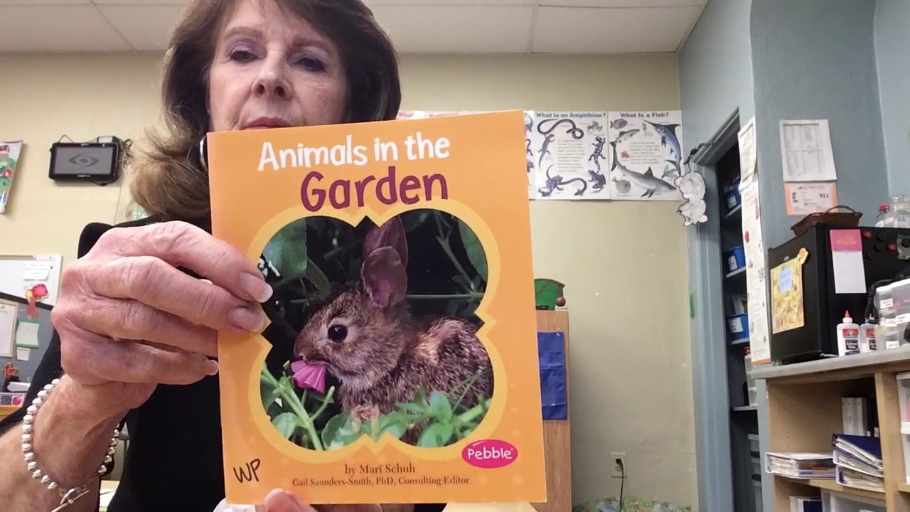 Animals in the Garden by Mari Schultz - YouTube