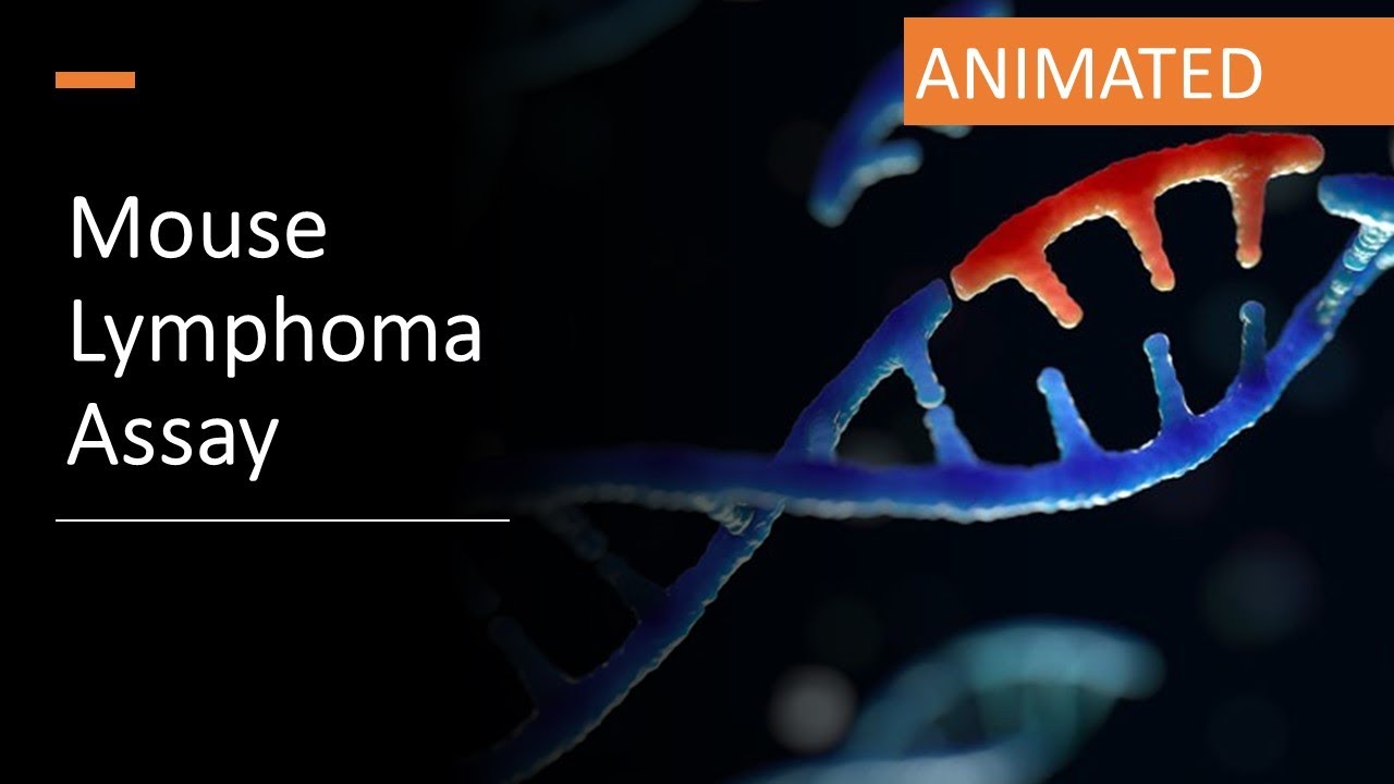 G T-09, What is Mouse Lymphoma Assay?, General Toxicology, Module 9 ...