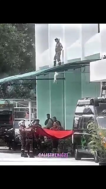 Don KO pakadna mushkil hi nahe Na mumkin hy😏 #cats #police - YouTube