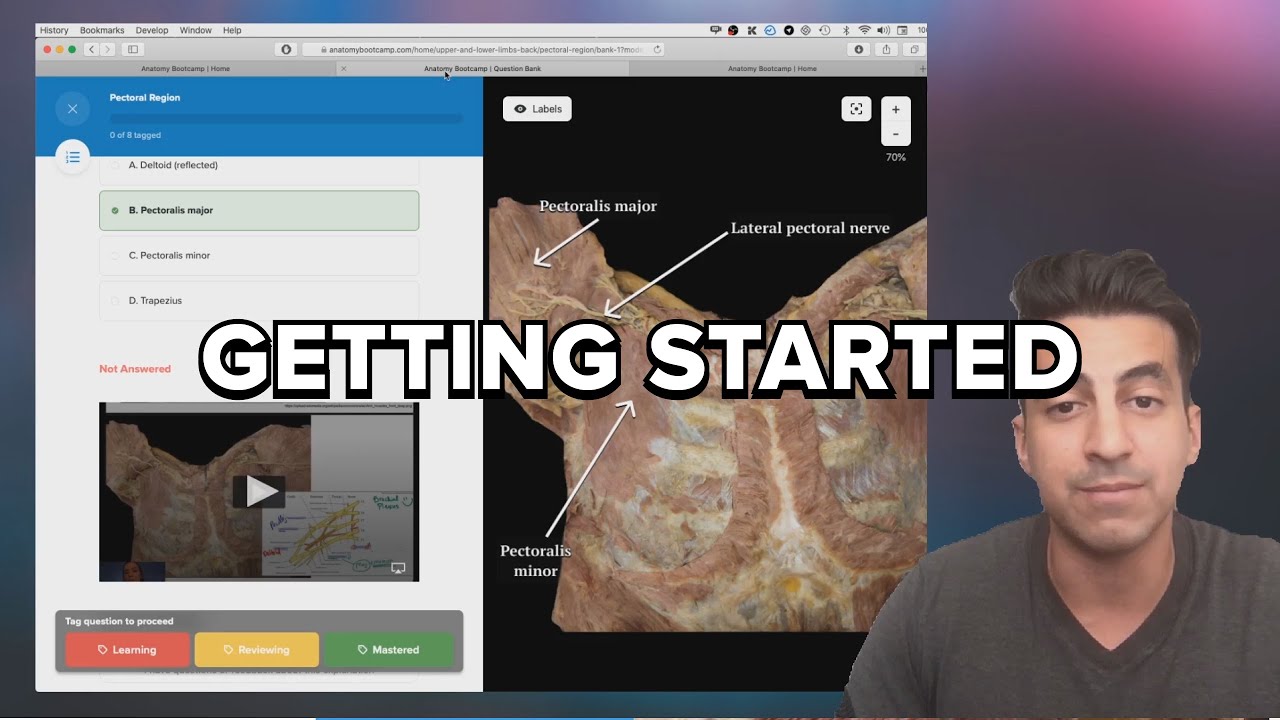 Getting Started on Anatomy Bootcamp - YouTube