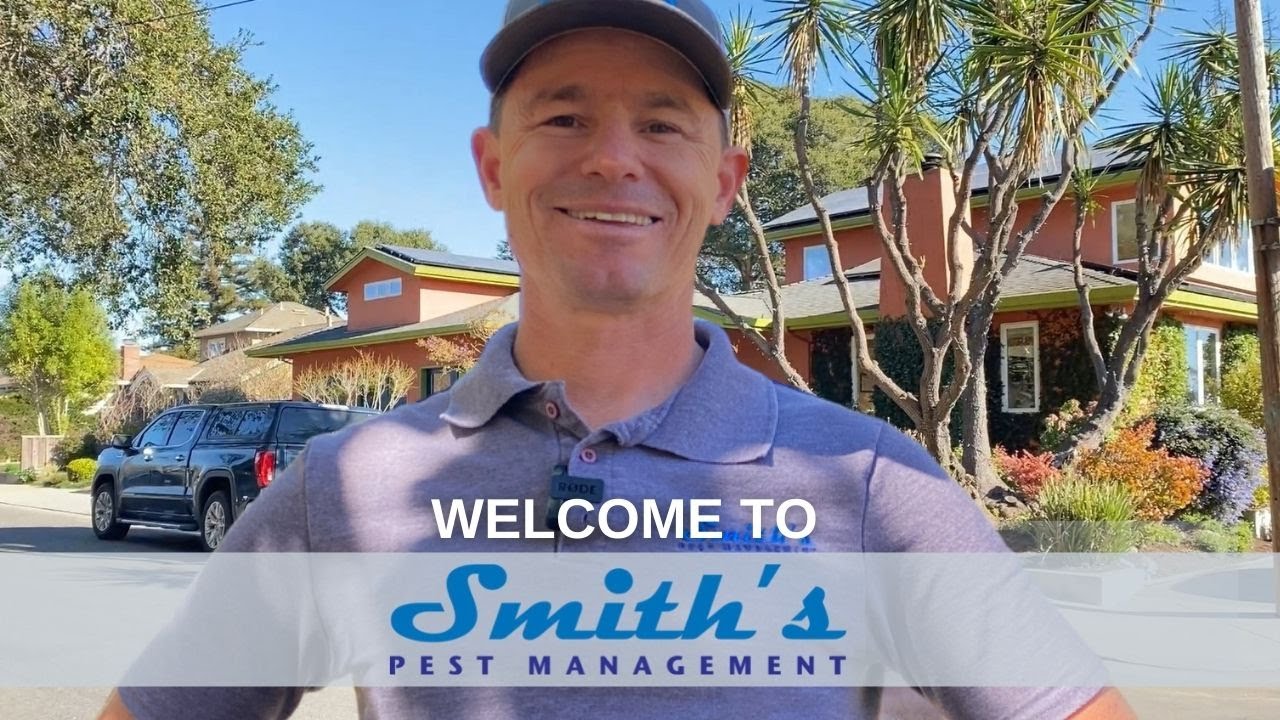 WELCOME TO SMITH'S PEST MANAGEMENT - YouTube