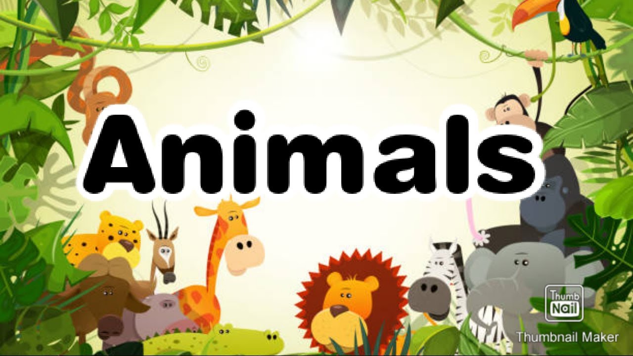 Animals names | Animals identification | Learn animals' names in ...