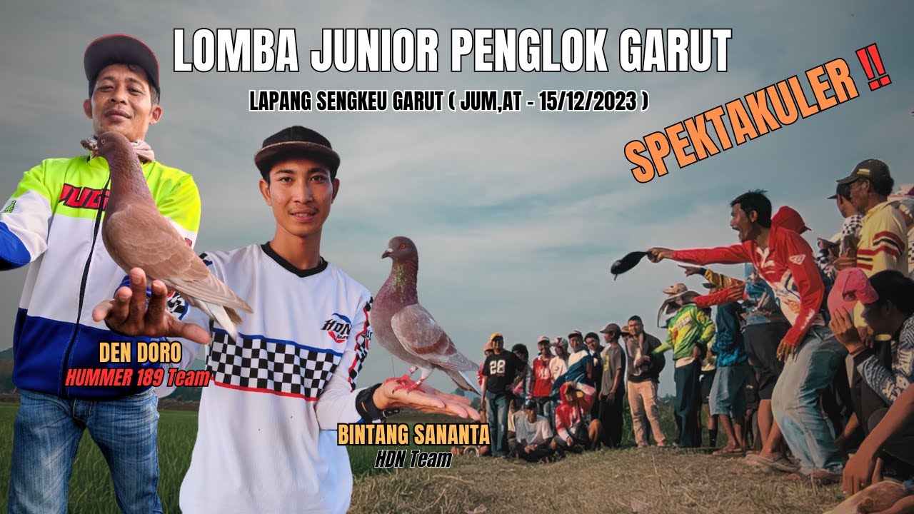SPEKTAKULER !! LOMBA MERPATI BALAP SPRINT JUNIOR PENGLOK GARUT - YouTube