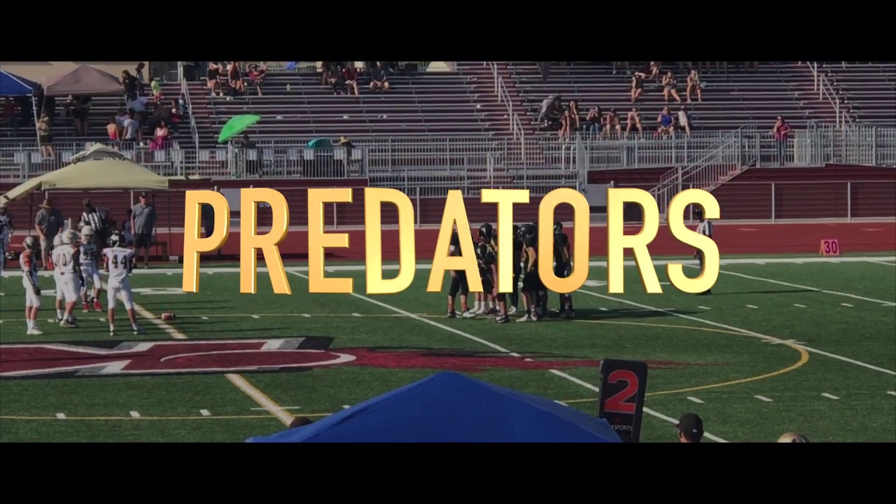 PREDATORS FOOTBALL - YouTube