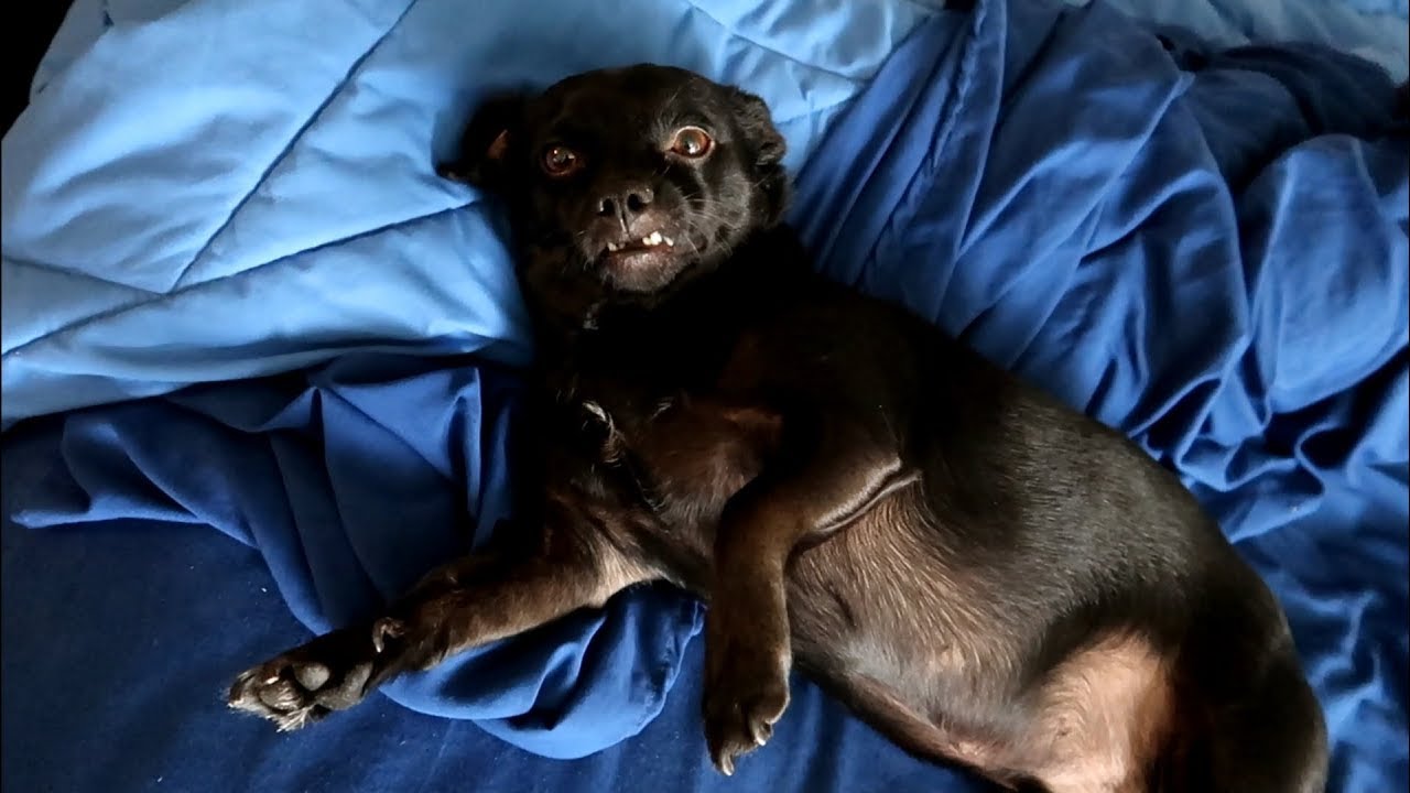 SPECIAL ANNOUNCEMENT about JAH - YouTube