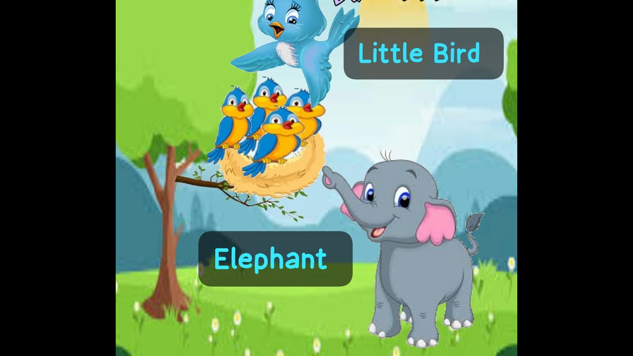 Littlr Bird And The Elephant/Magic Kids Storybook - YouTube