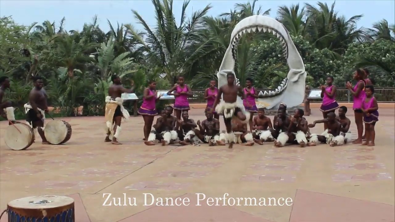 Zulu Dance Performance - YouTube