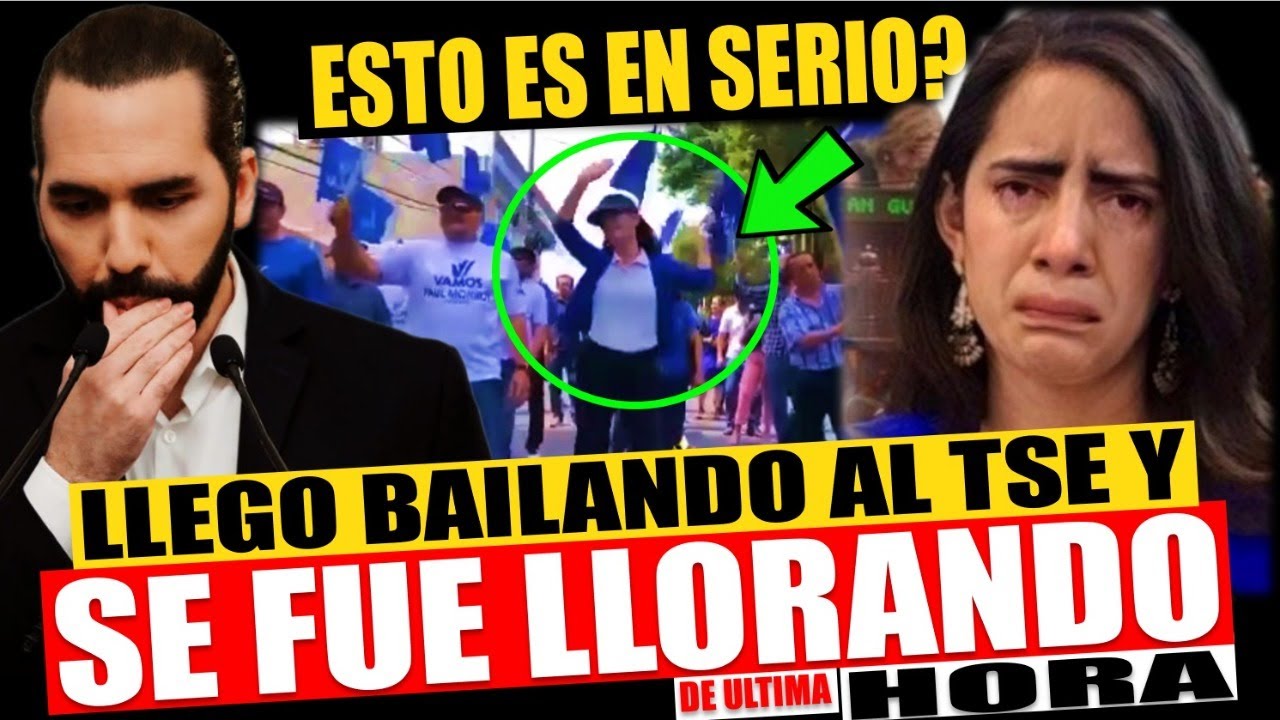 LLEGO BAILANDO Y SE FUE LLORANDO DEL TSE LA DIPUTADA CLAUDIA ORTIZ ...