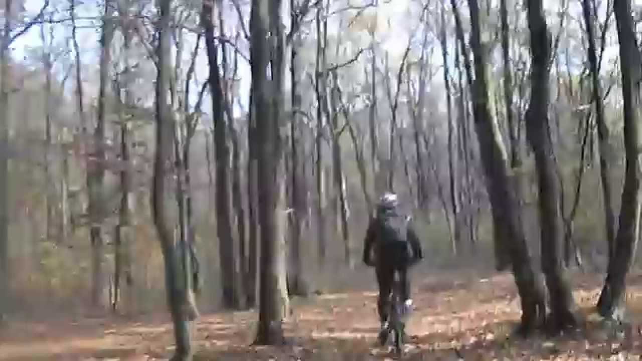 Padurea Trivale - YouTube