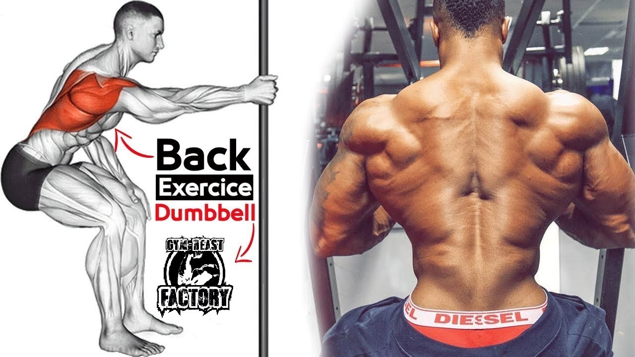 Best BACK Exercises AT HOME (DUMBBELLS ONLY) - YouTube