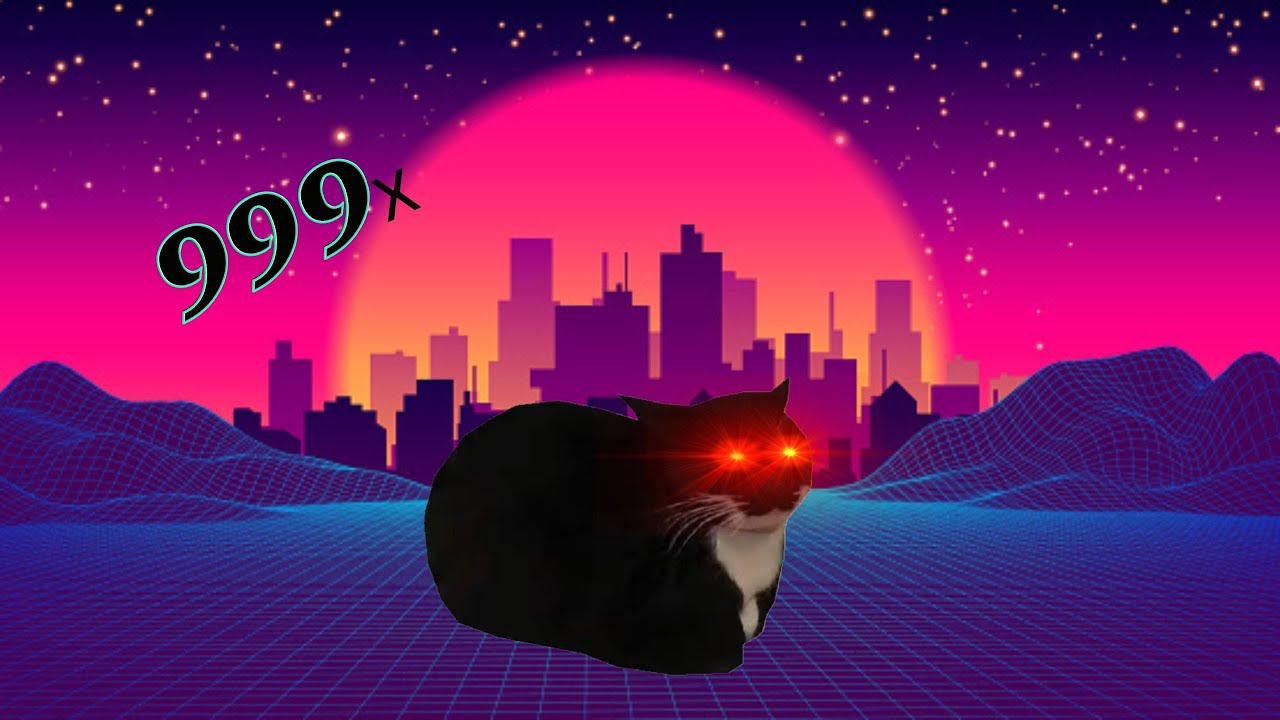 Maxwell The Cat dance 999x - YouTube