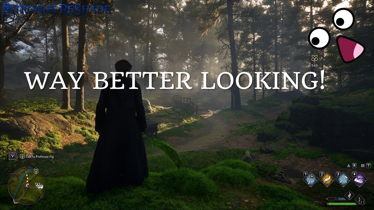 MAKE HOGWARTS LEGACY 10X BETTER LOOKING WITH ONE SIMPLE MOD! - YouTube