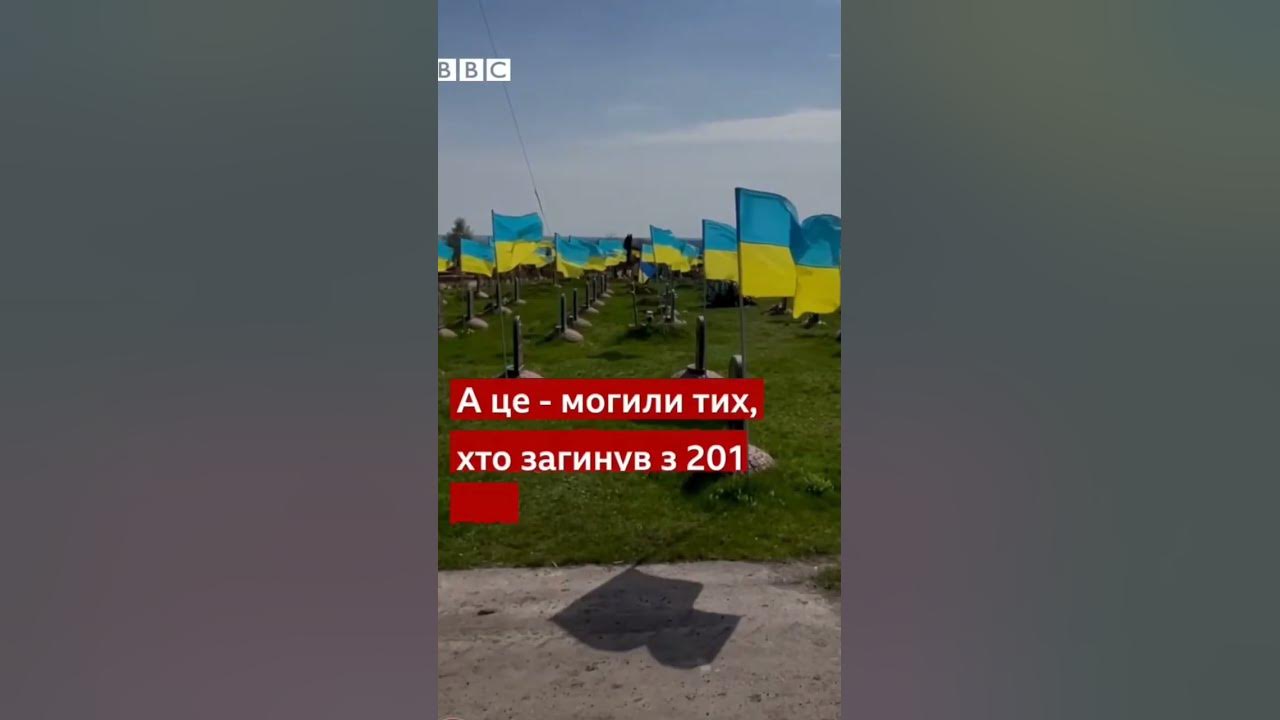 Ряди і ряди могил 😔 Shorts Diy Ukraine Youtube