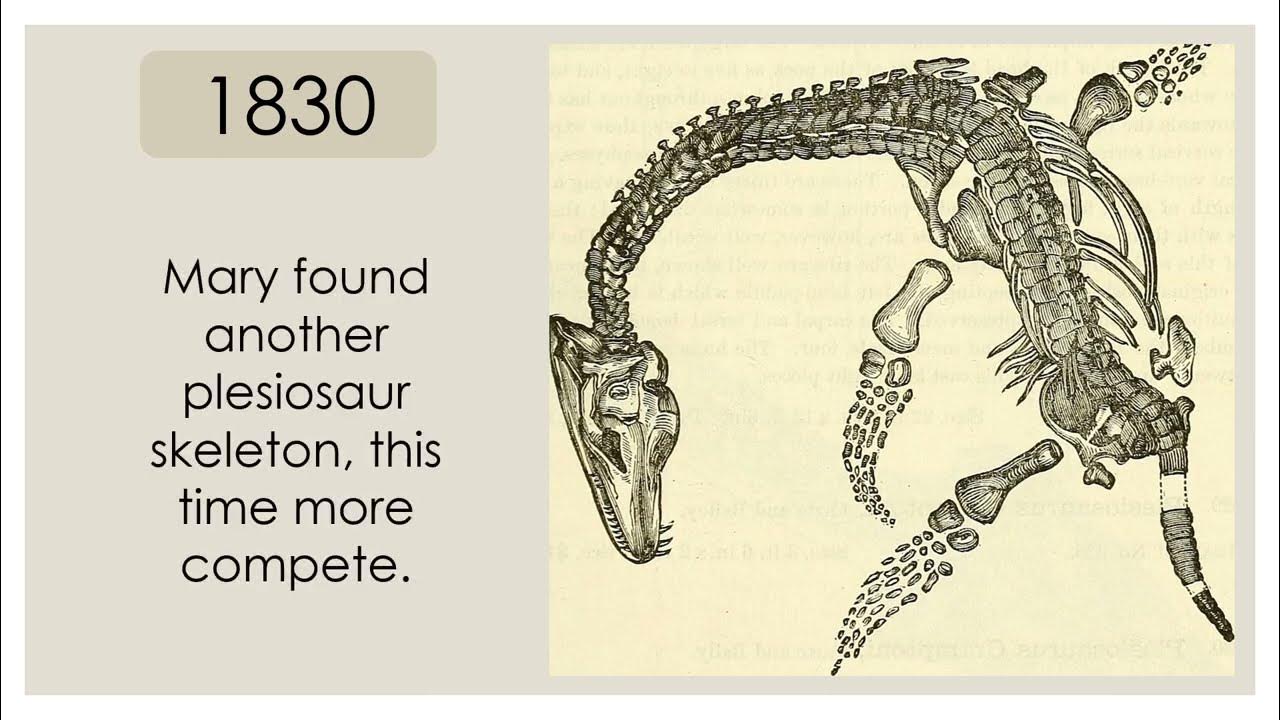 Mary Anning: Fossil Hunter Extraordinaire | History for Kids | Hands-On ...