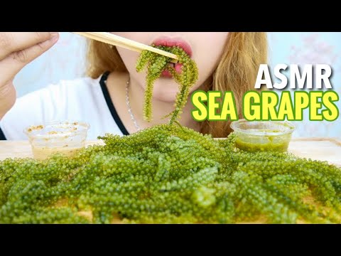 #23 Request ASMR Crunchy Eating Sounds : RAW SEA GRAPES | ASMR ...