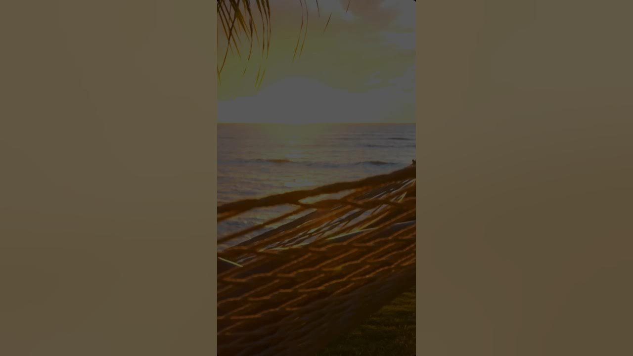 Konji Pesida Venam... #tamilmusic #tamilsong #tamil #trending #shorts #vijaysethupathi #vijay # ...