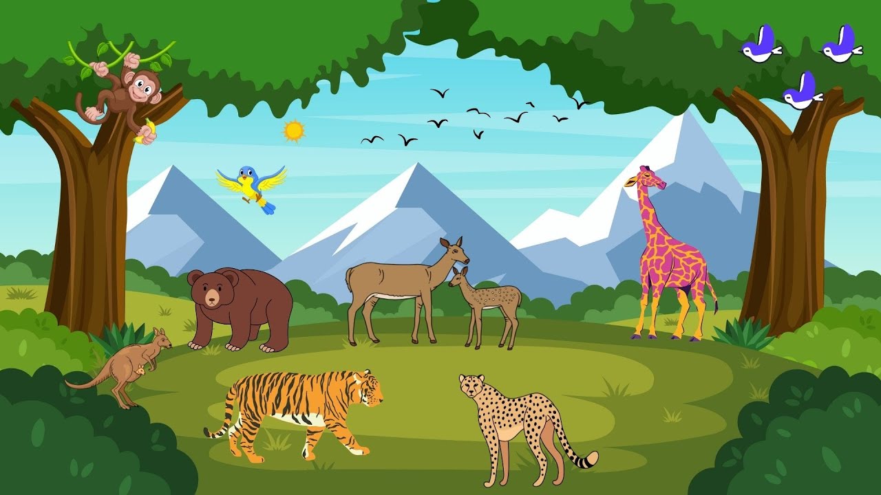 A Glimpse Into The Extraordinary Life With Doodledreams Animated Kids ...