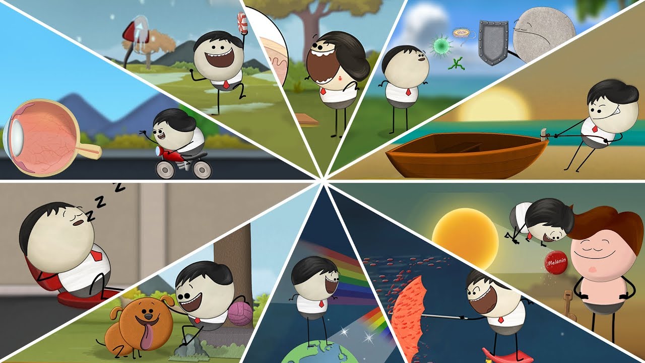 Why are auroras formed? plus 9 more videos.. #aumsum #kids #science # ...