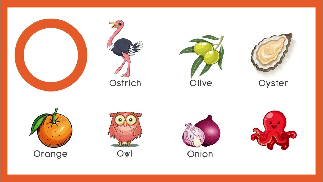 ABC Flashcards for Toddlers | O Letter Flashcard | ABC Alphabet Video ...