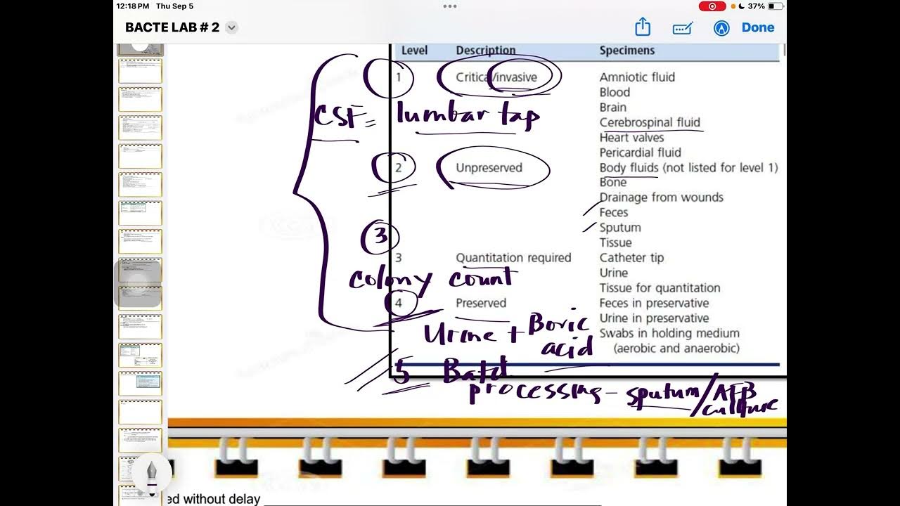 BACTE LAB 2 PART 1 - YouTube