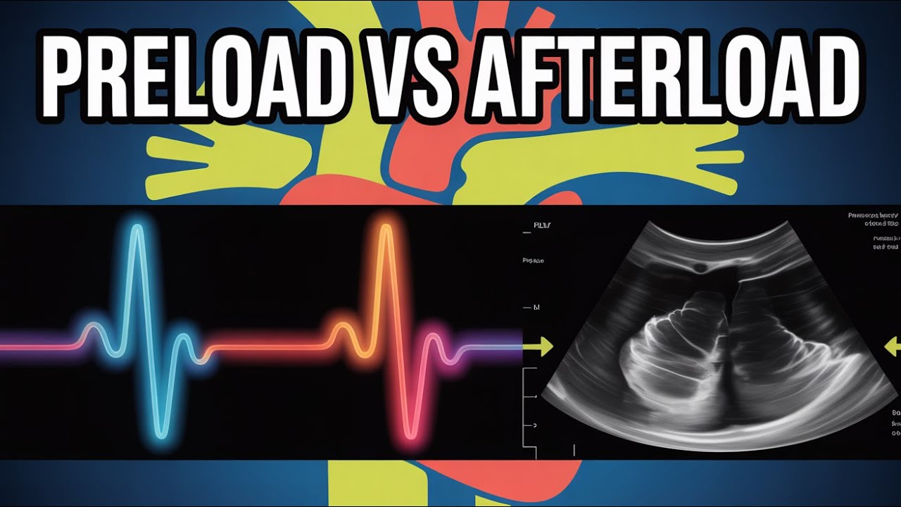 Preload vs Afterload Explained: The Hemodynamic Forces Every Clinician ...