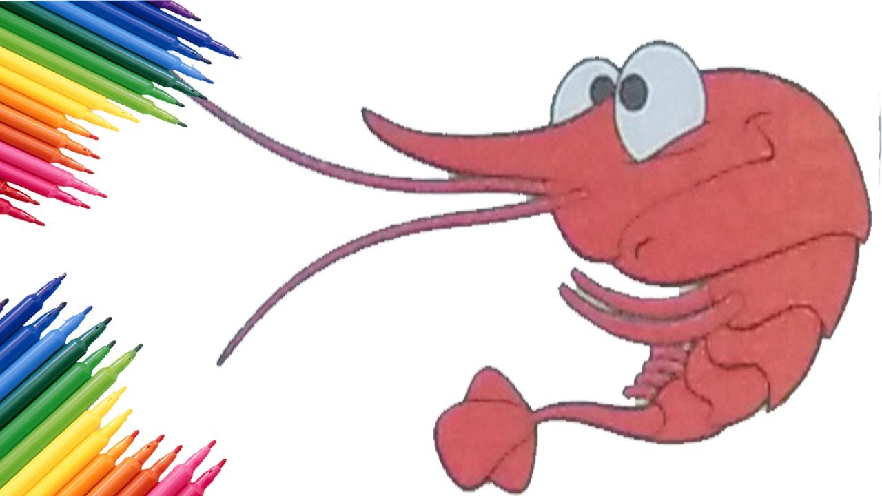 How to Colour A Prawn Coloring pages sea creatures Coloring Book For ...