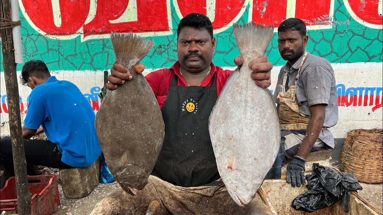 NAAKU FISH 🐠 CUTTING BY SPEED SELVAM ⚔️🔥 - YouTube