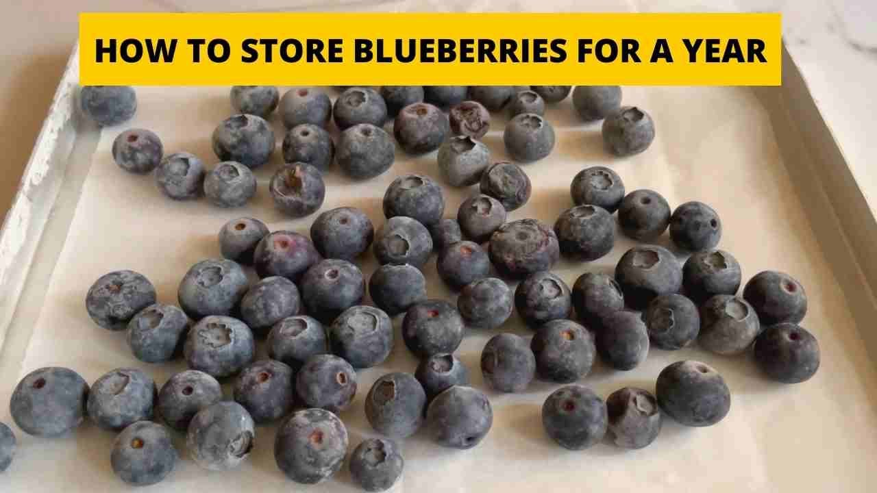How to keep Blueberries longer | How to Keep Berries Fresh & Mold free ...