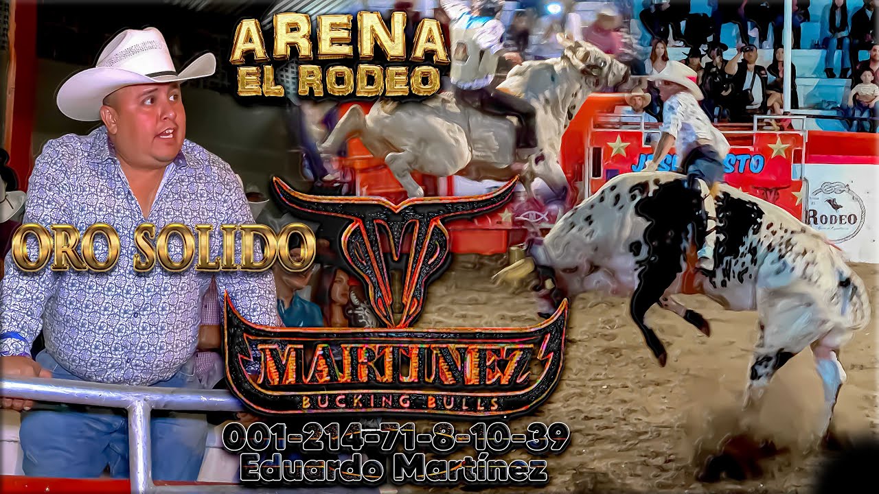 Puro oro solido así son los toros de Martínez Ranch presentado se en la ...