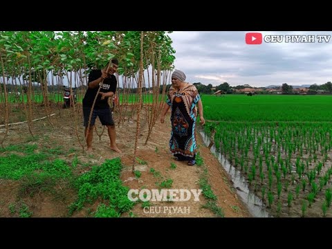 CEU PIYAH BISNIS NYAMPE LUAR NEGRI SAONG PUSING SINAH KA LAMPU MERAH - YouTube