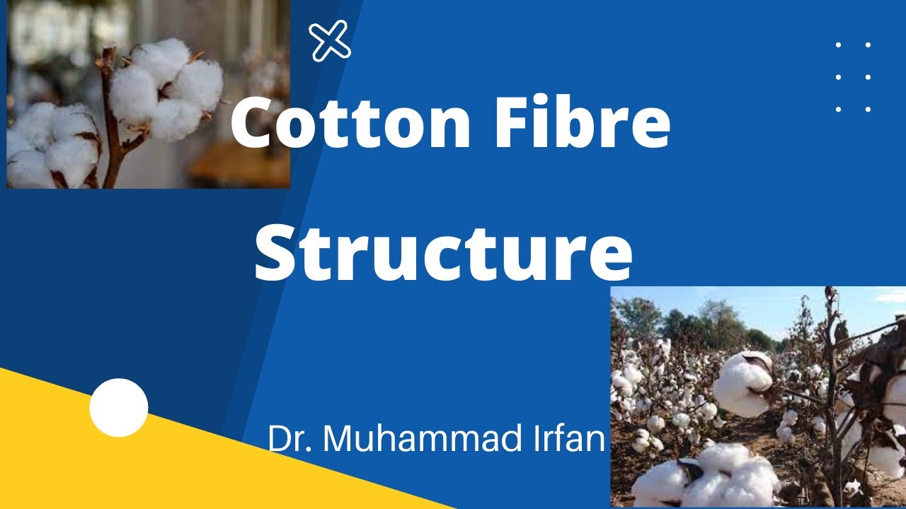 Cotton fibre structure - YouTube
