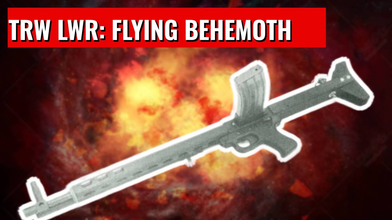 TRW LWR: The Low Maintenance Rifle for Reliable Performance - YouTube