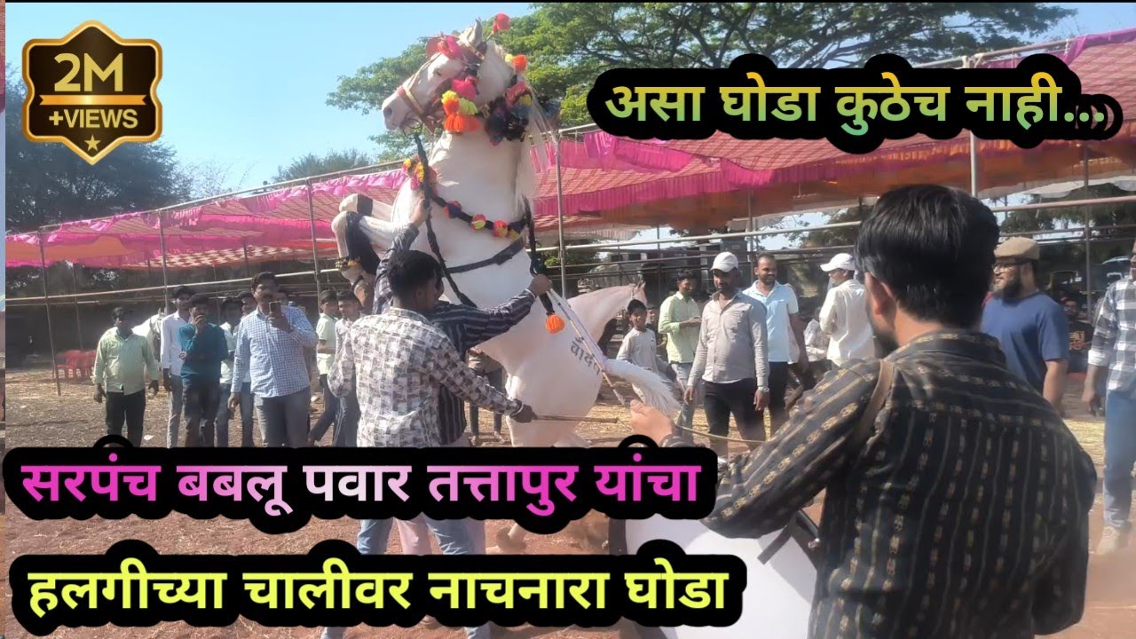 Bablu Pawar Yancha Badal Ghoda Dance | Horse Show | Ghodyacha Halgi ...