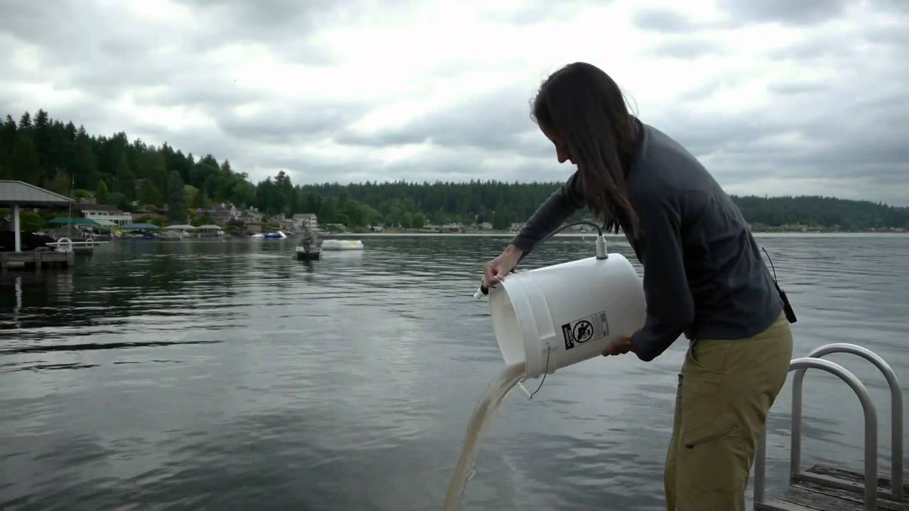 Sawyer bucket filter assembly and maintenance - YouTube