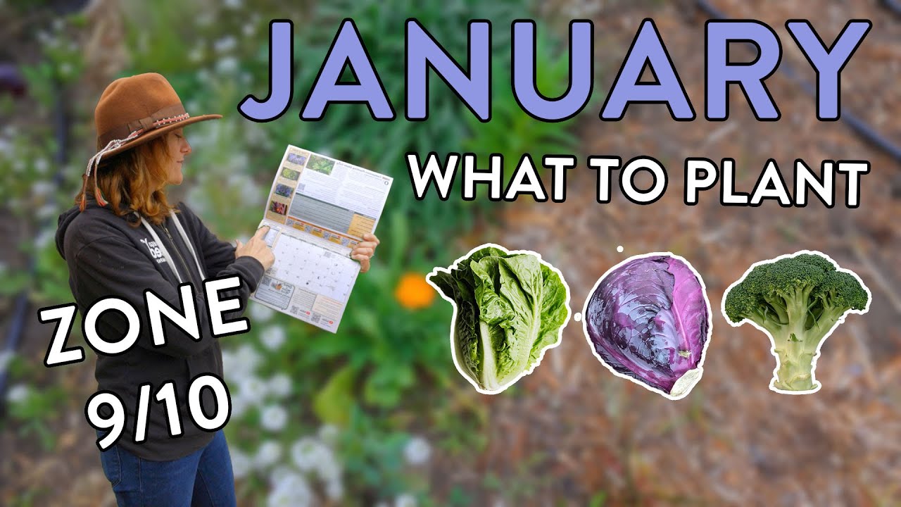 What to Plant in January: Kickstart Your Garden This Year! - YouTube