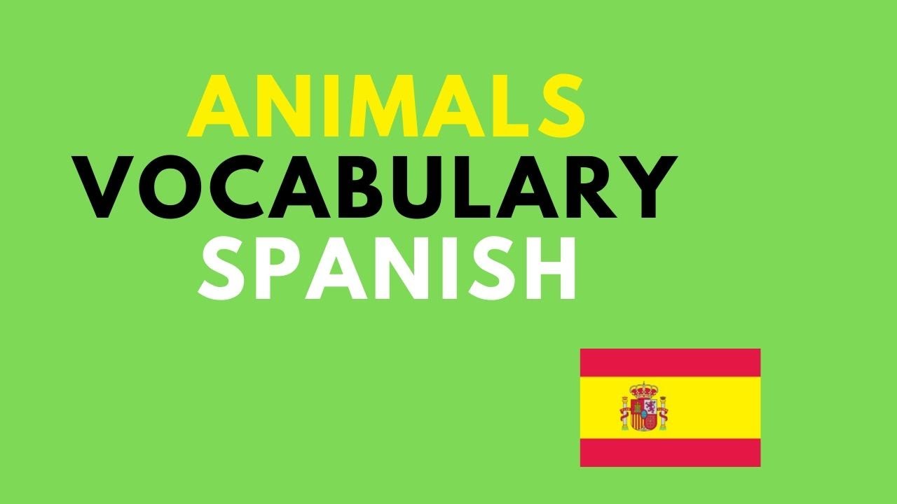 Animals Vocabulary in Spanish | Learn Spanish Vocabulary | How to learn ...