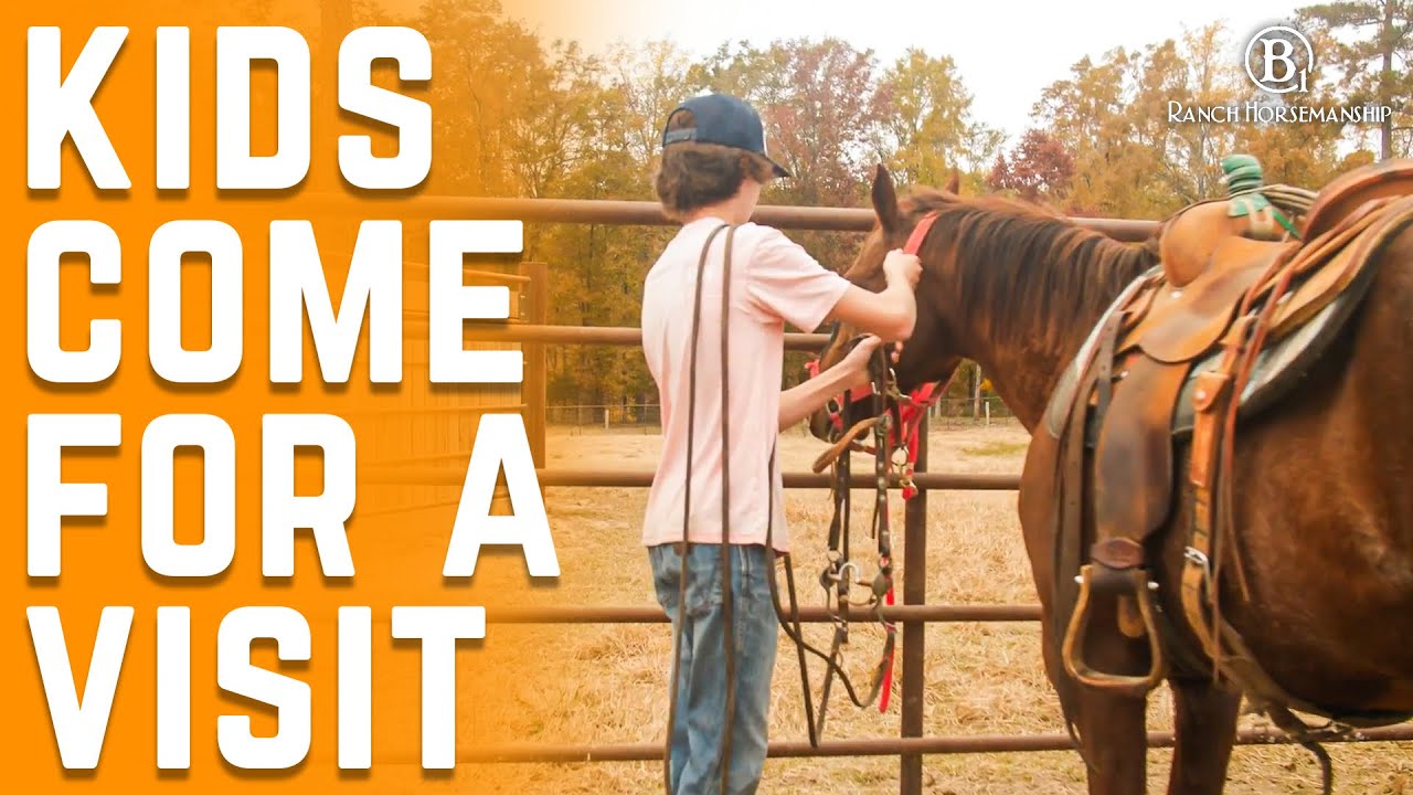 The Cost Of Raising A Colt - YouTube