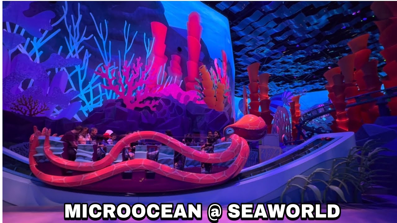 MicroOcean @ SeaWorld Abu Dhabi - YouTube