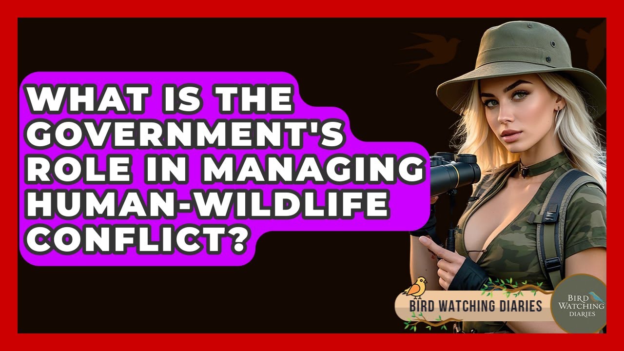 What Is The Government's Role In Managing Human-Wildlife Conflict ...