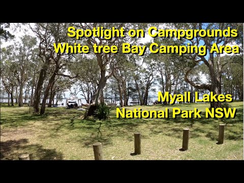 Spotlight on Campgrounds, White Tree Bay Campground - YouTube