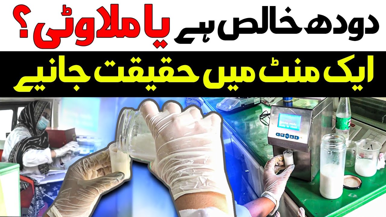 Is Your Milk Pure? How to Check Your Milk Quality | Dawn News - YouTube