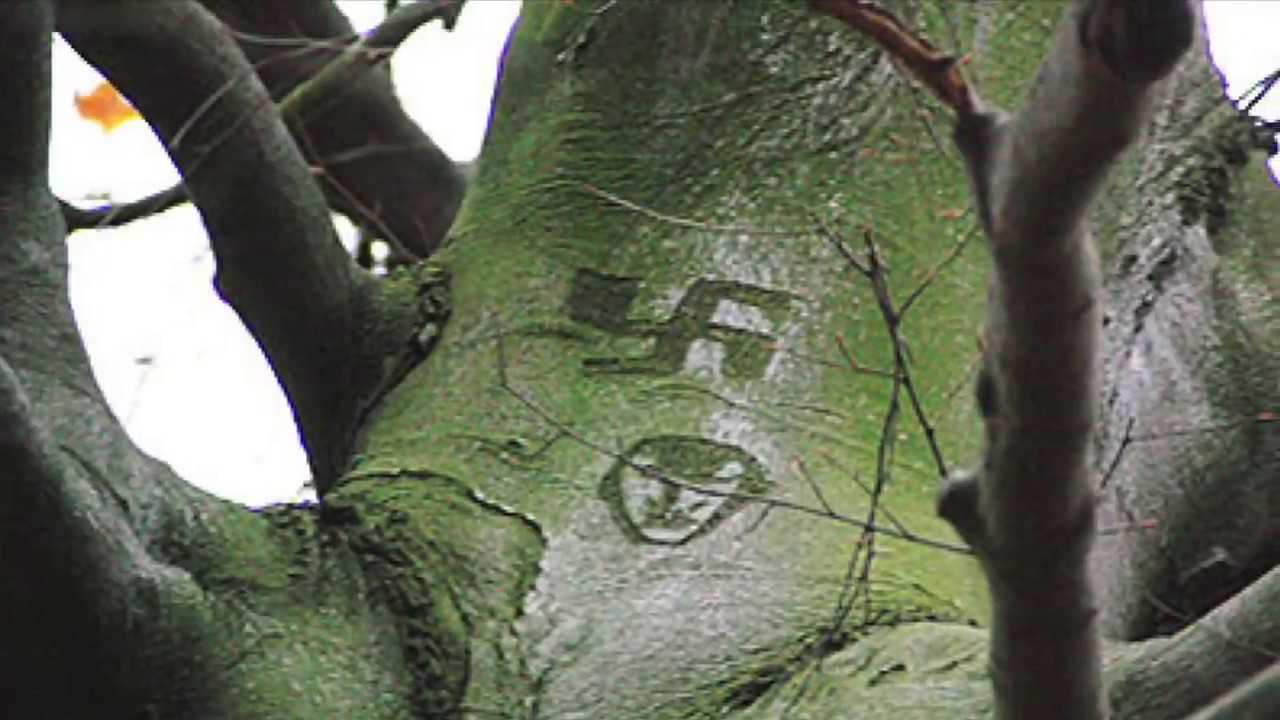 Hitler tree in The Hague forrest - YouTube