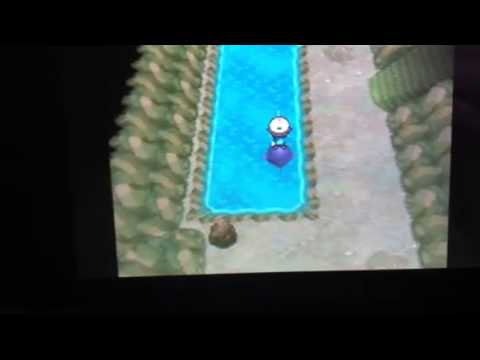 Where to catch poliwag in Pokemon black/white ( shiny ARCEU - YouTube