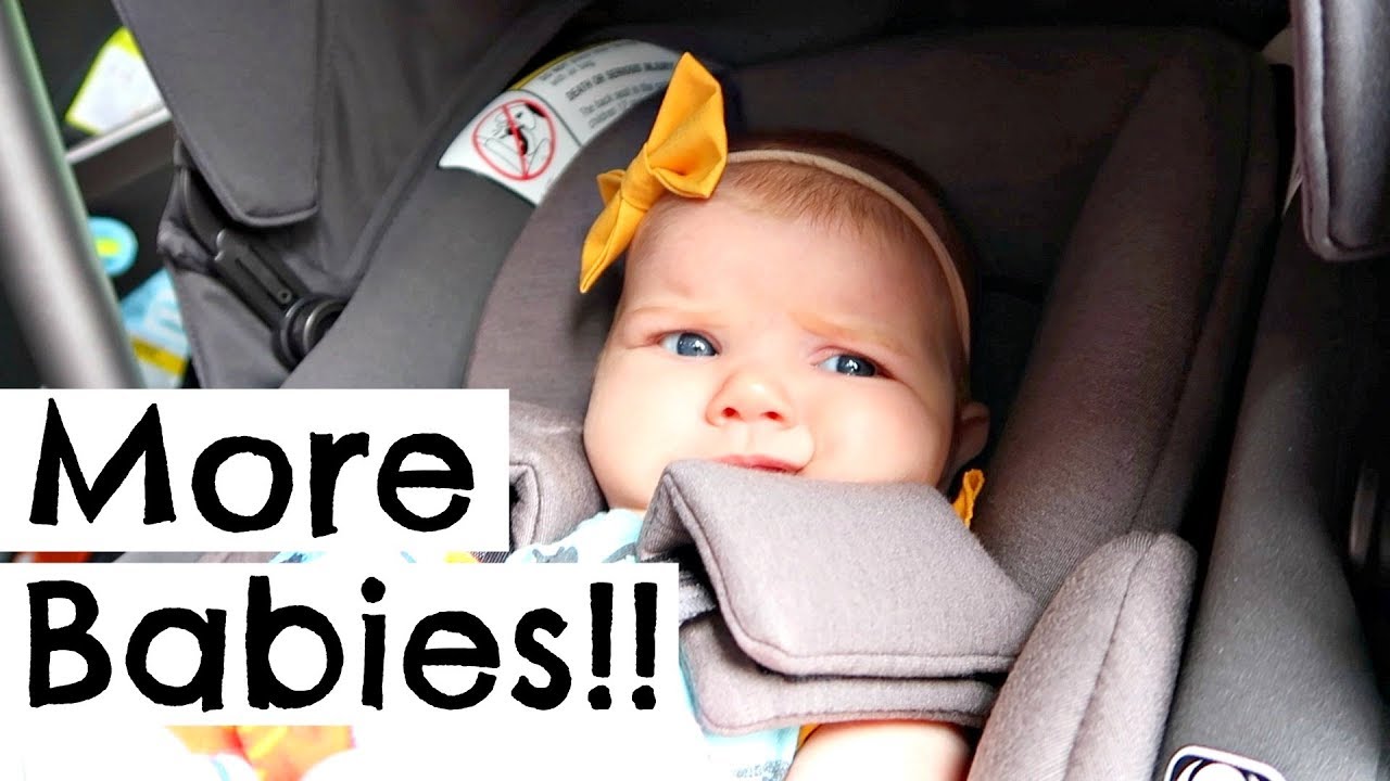 MORE BABIES! - YouTube